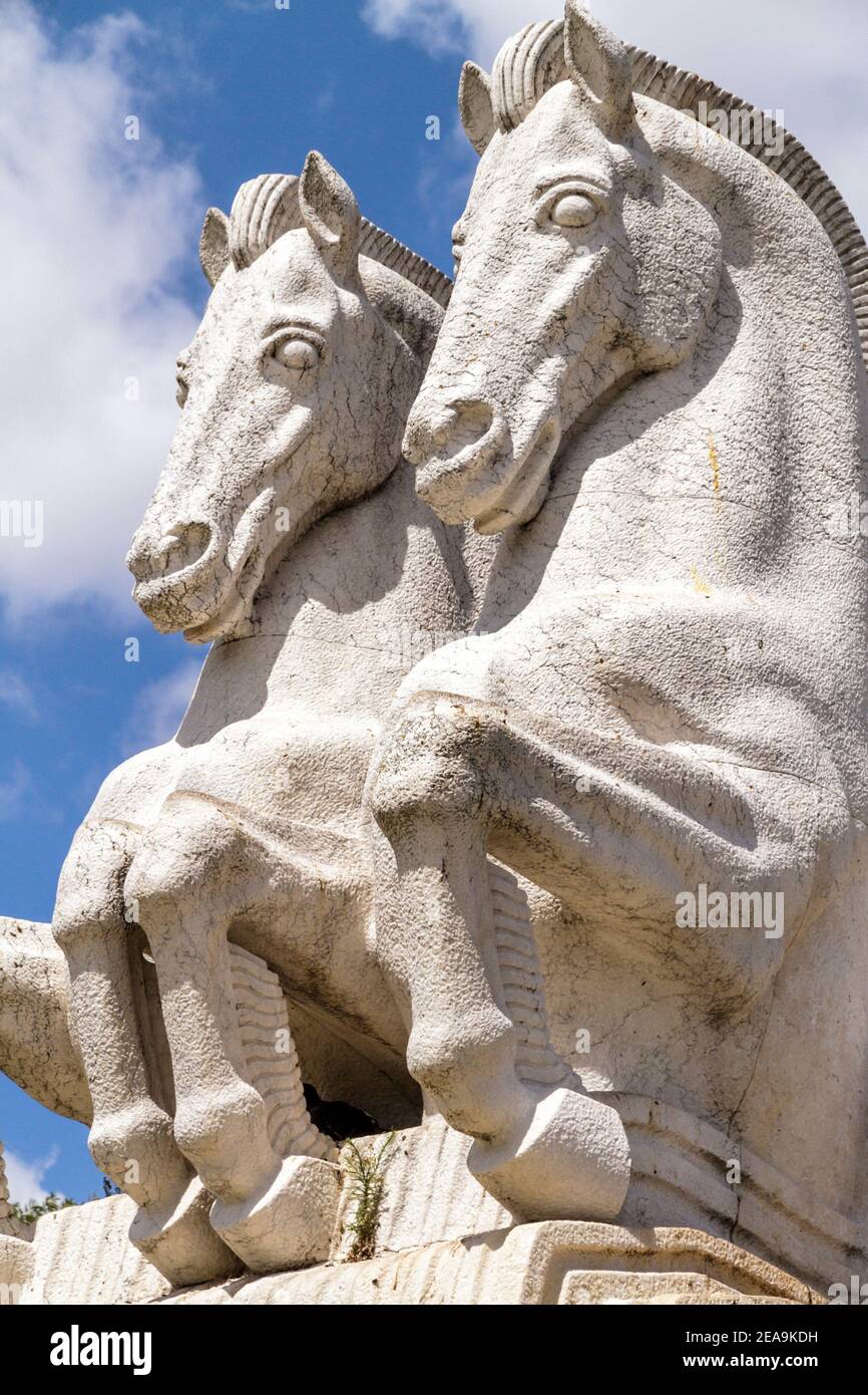 Hippocamp hi-res stock photography and images - Alamy