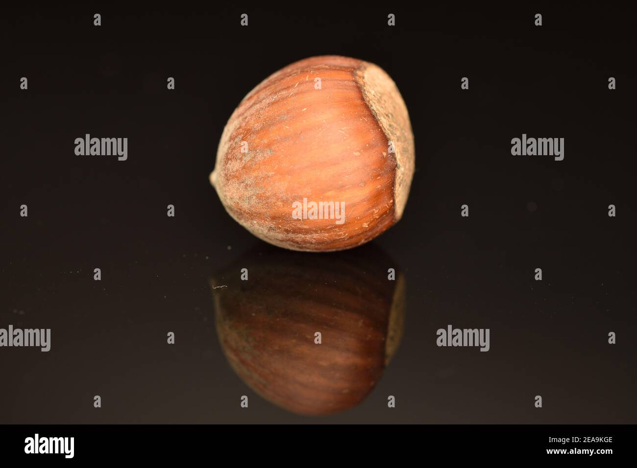 Organic ingredients nut oil hi-res stock photography and images - Alamy