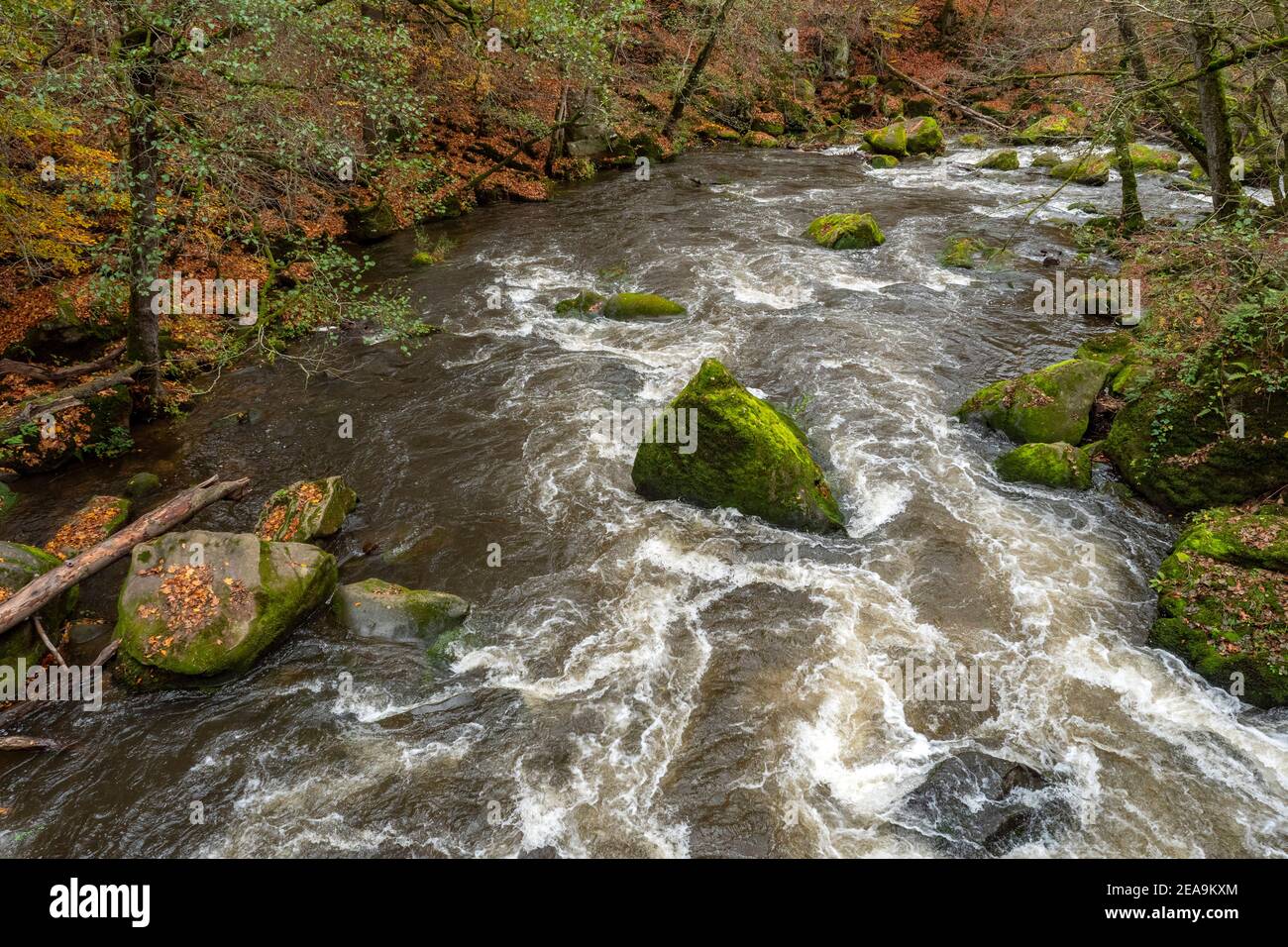 Irrel waterfalls of the prum near irrel hi-res stock photography and ...