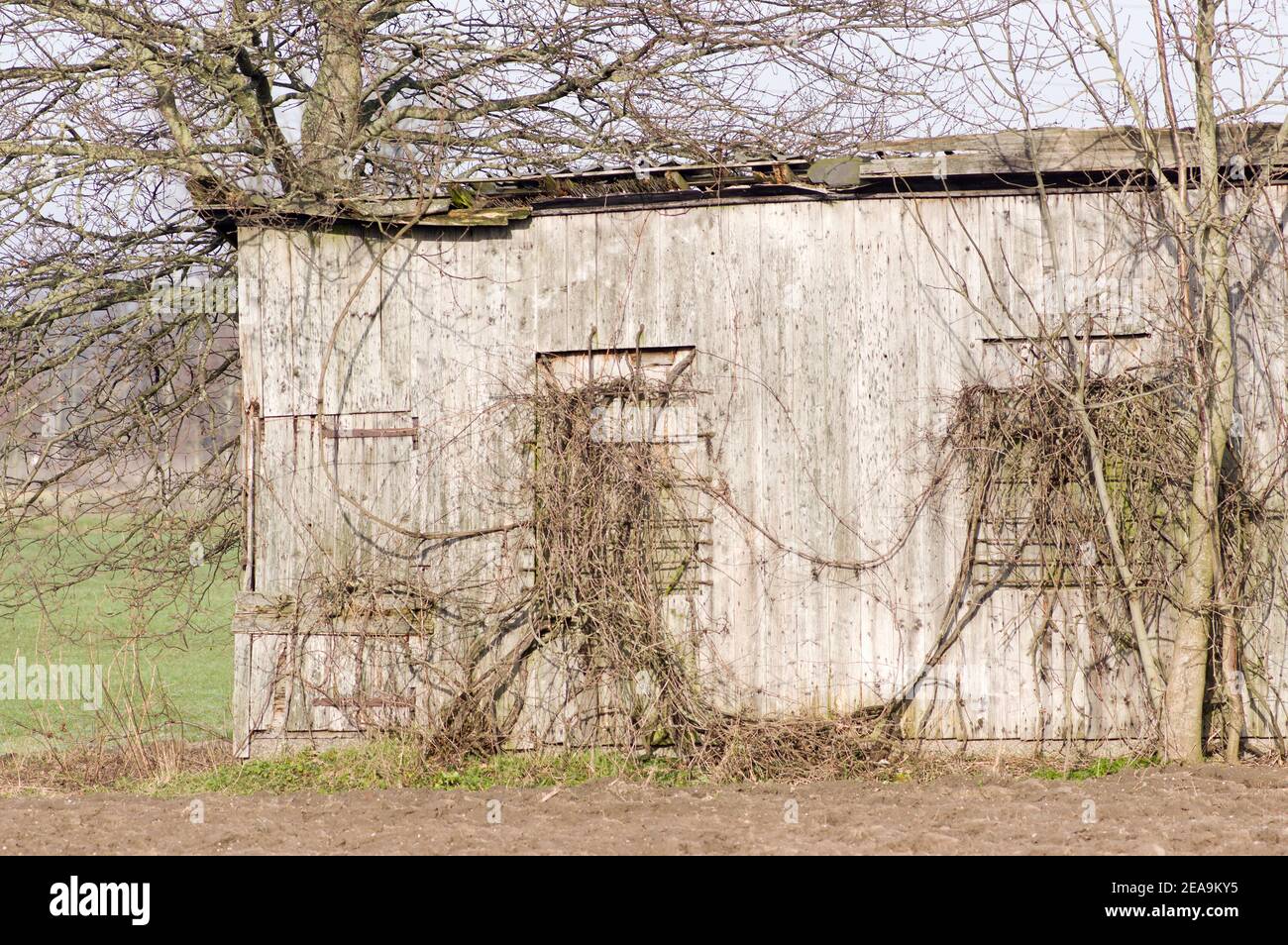 Barn shed shack dilapidated hi-res stock photography and images - Alamy