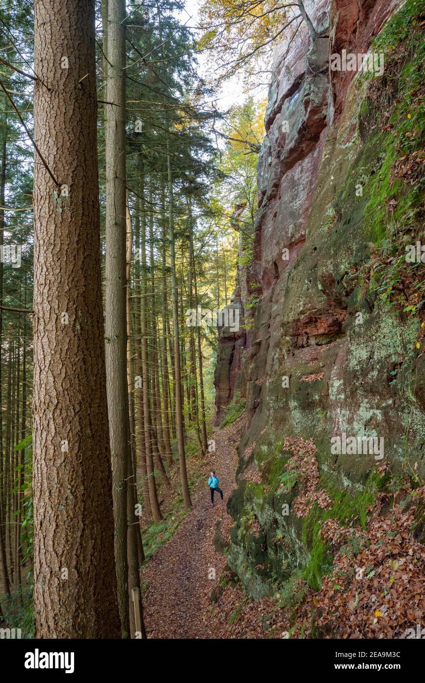 Sandstone rocks on the kasteler felsenpfad hi-res stock photography and ...
