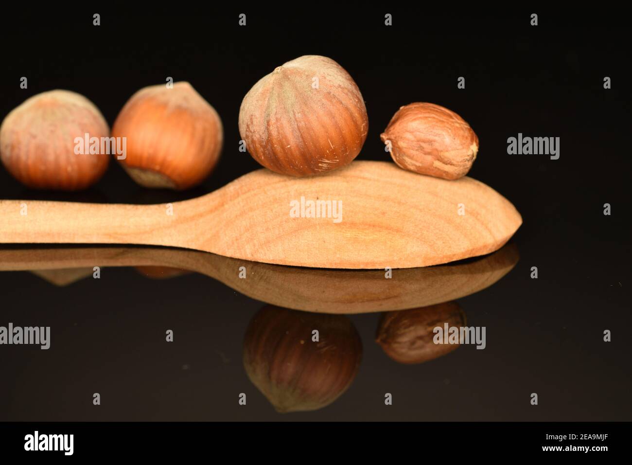Three whole round ripe organic hazelnuts and one whole peeled kernel ...