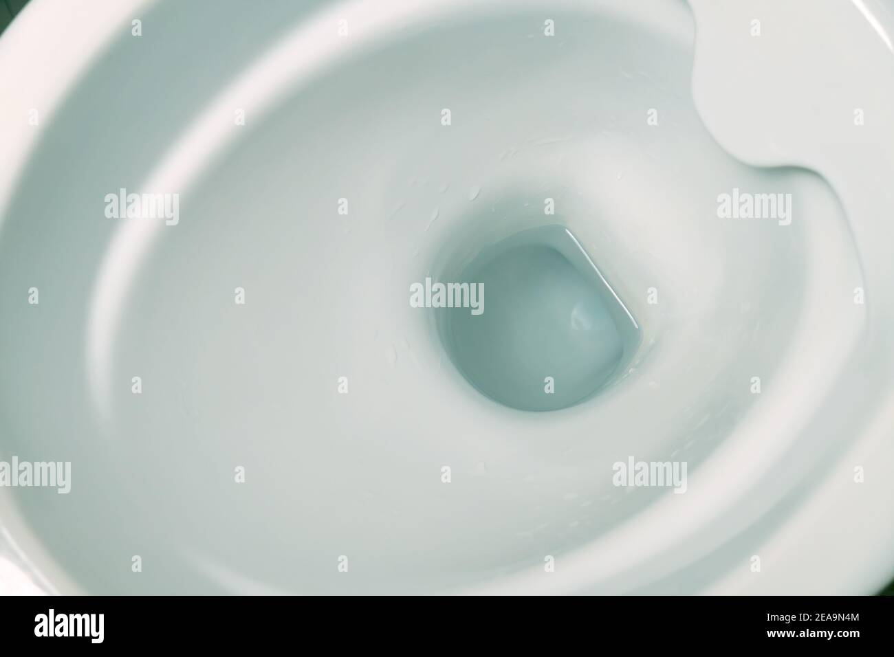 Close-up of the new white rimless toilet, top view Stock Photo - Alamy