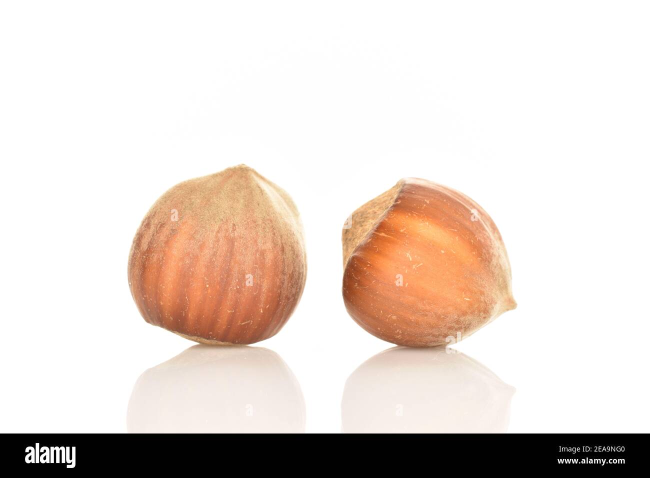 Fresh tasty organic hazelnuts Cut Out Stock Images & Pictures - Alamy