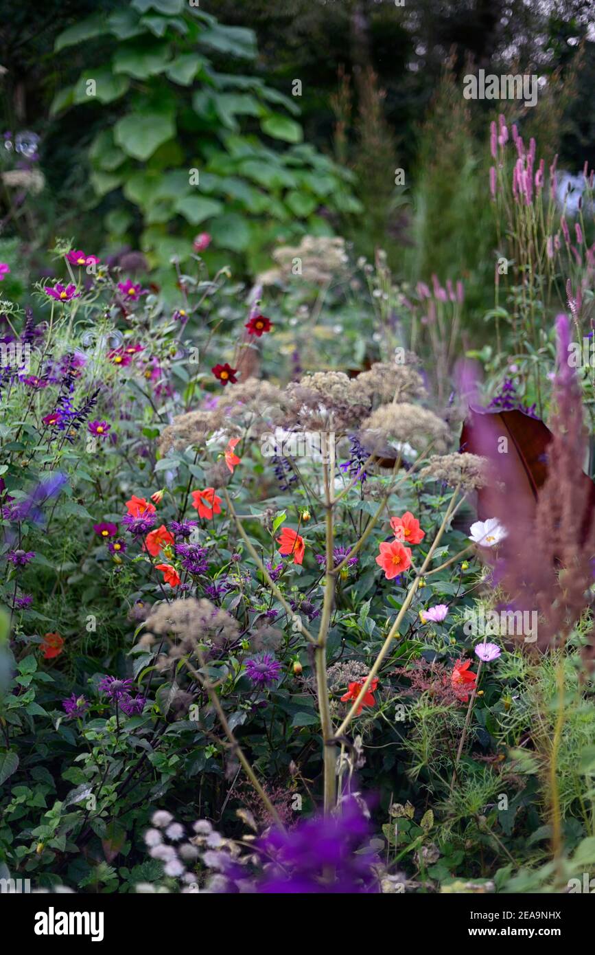 Soft diffuse look hi-res stock photography and images - Alamy