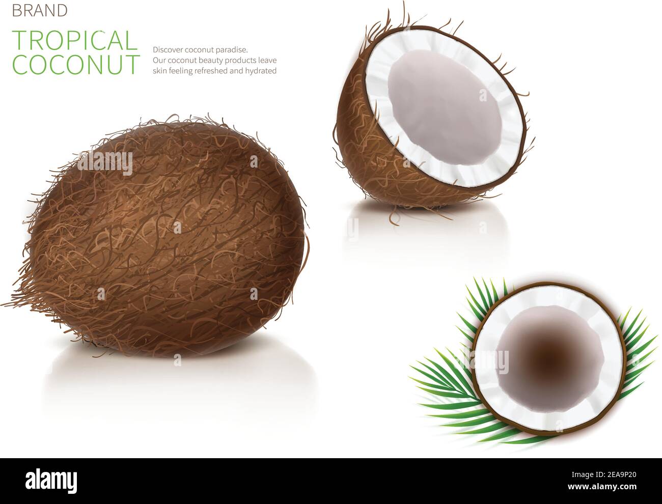 Texture cream background top Stock Vector Images - Alamy