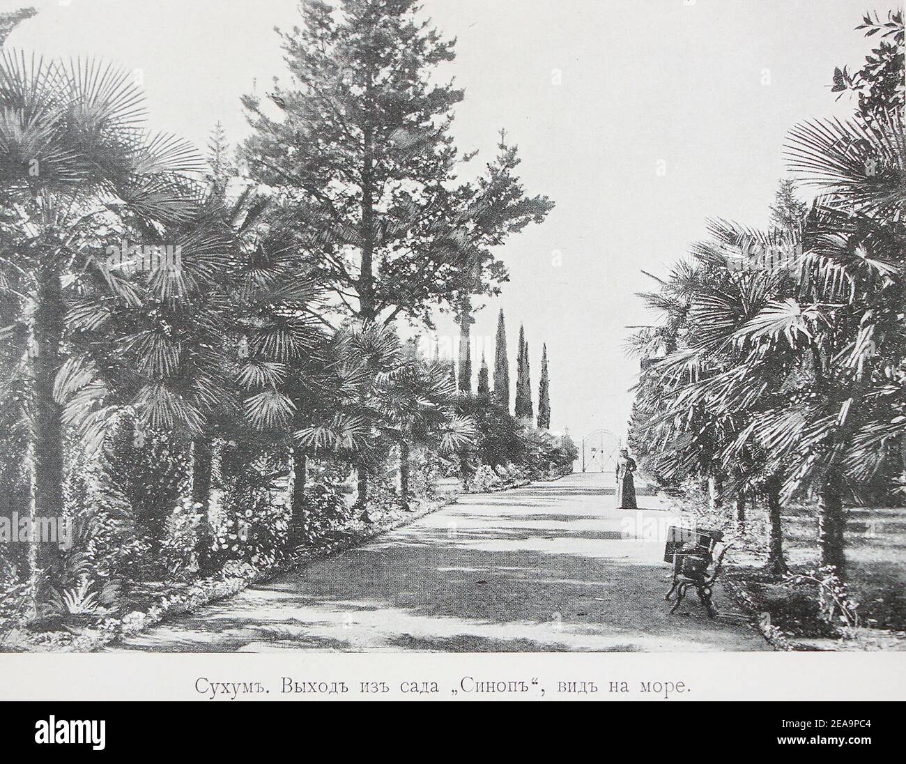 Sukhum 19th century hi-res stock photography and images - Alamy