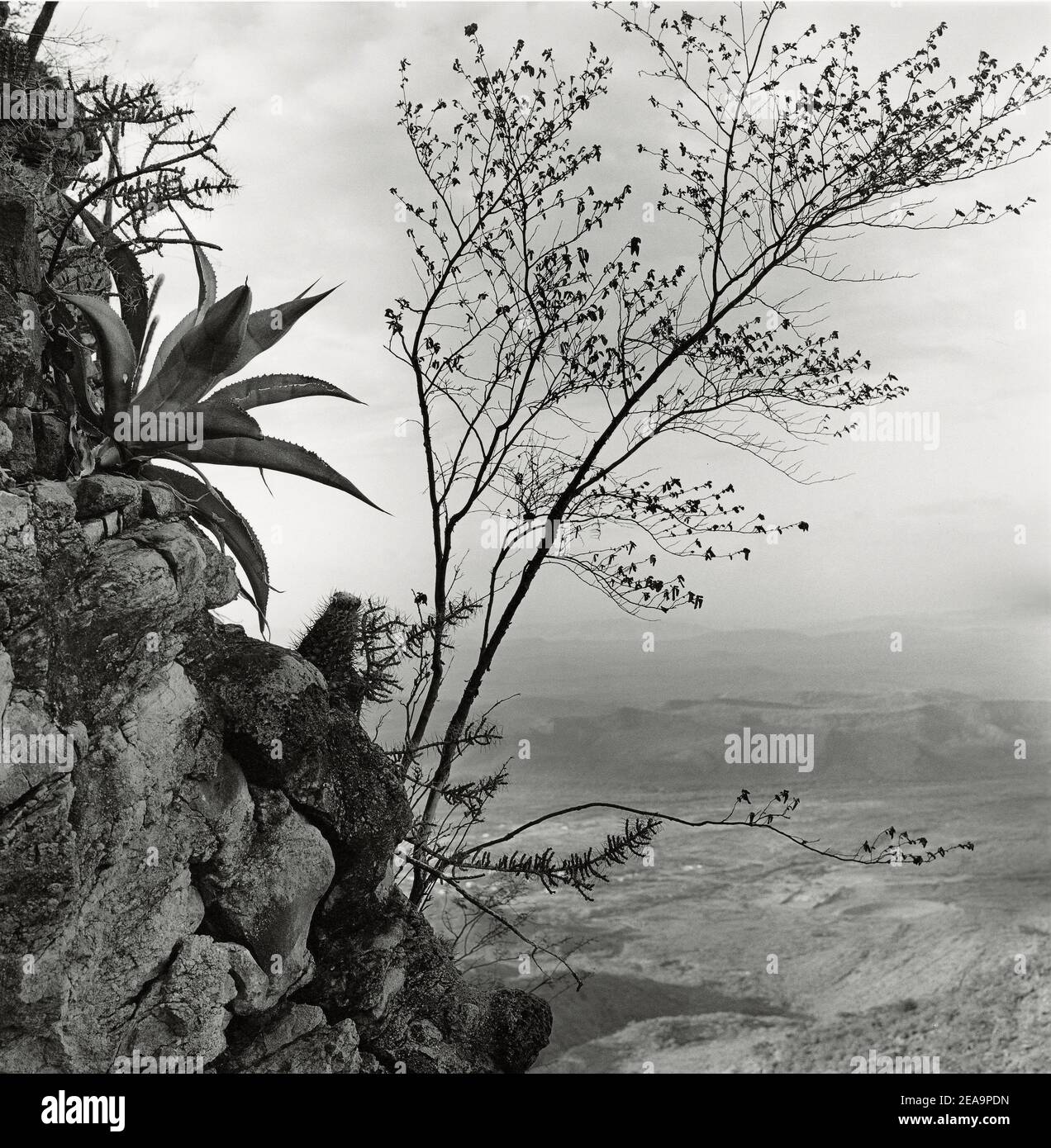 Falcon, Falcon State, Venezuela;South America Stock Photo - Alamy