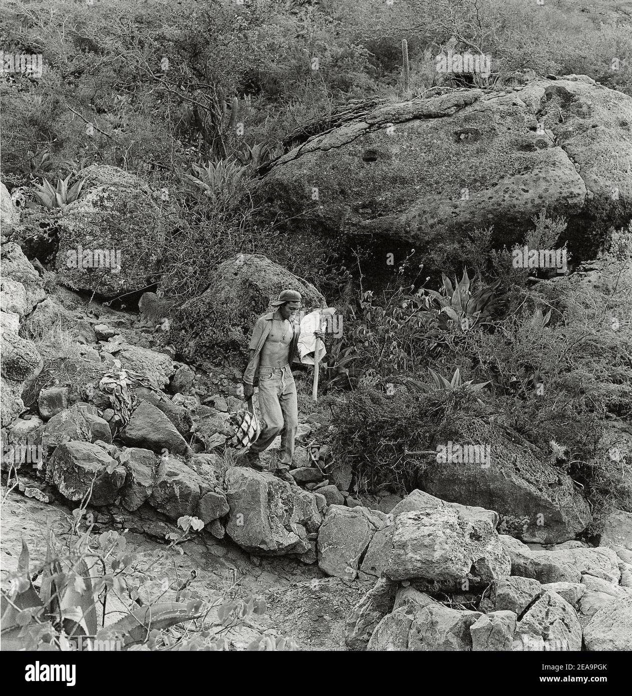 Falcon, Falcon State, Venezuela;South America Stock Photo - Alamy