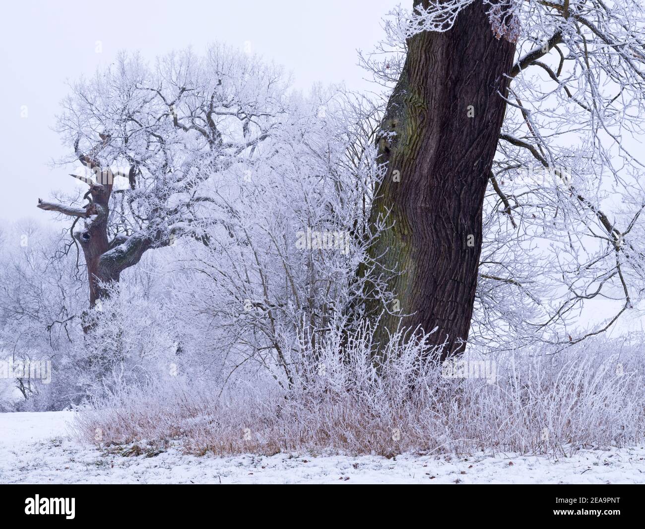 Forsthaus Bracht High Resolution Stock Photography and Images - Alamy