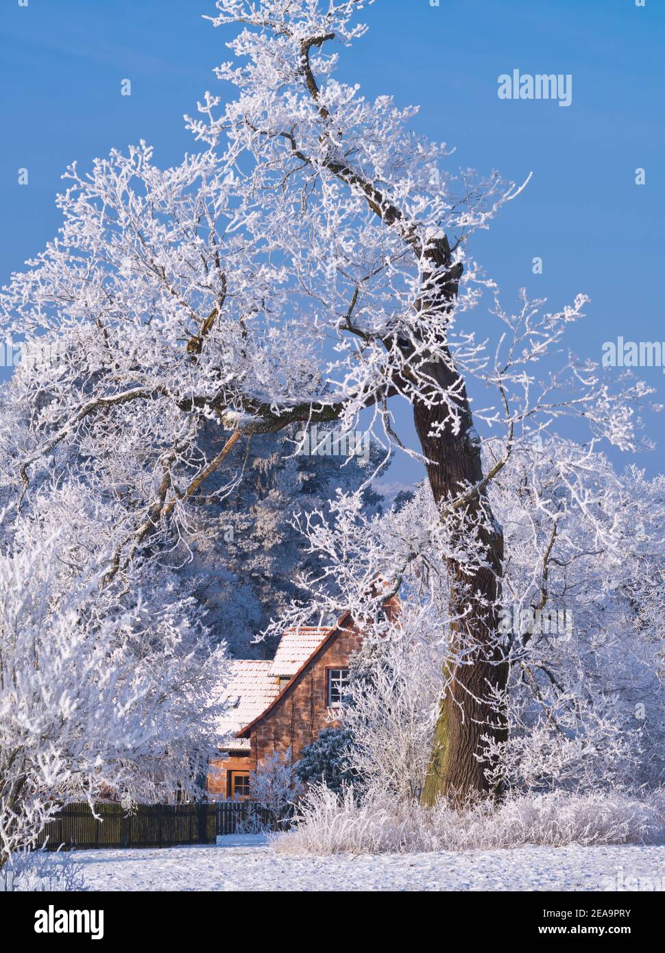 Europe, Germany, Hesse, Marburger Land, Cölbe, Forsthaus Bracht ...