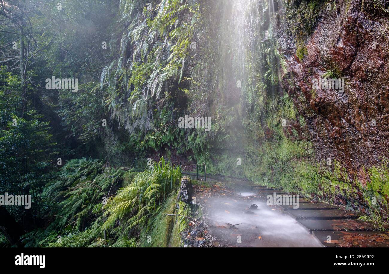 Hiking trail along a levada in Madeira Stock Photo - Alamy