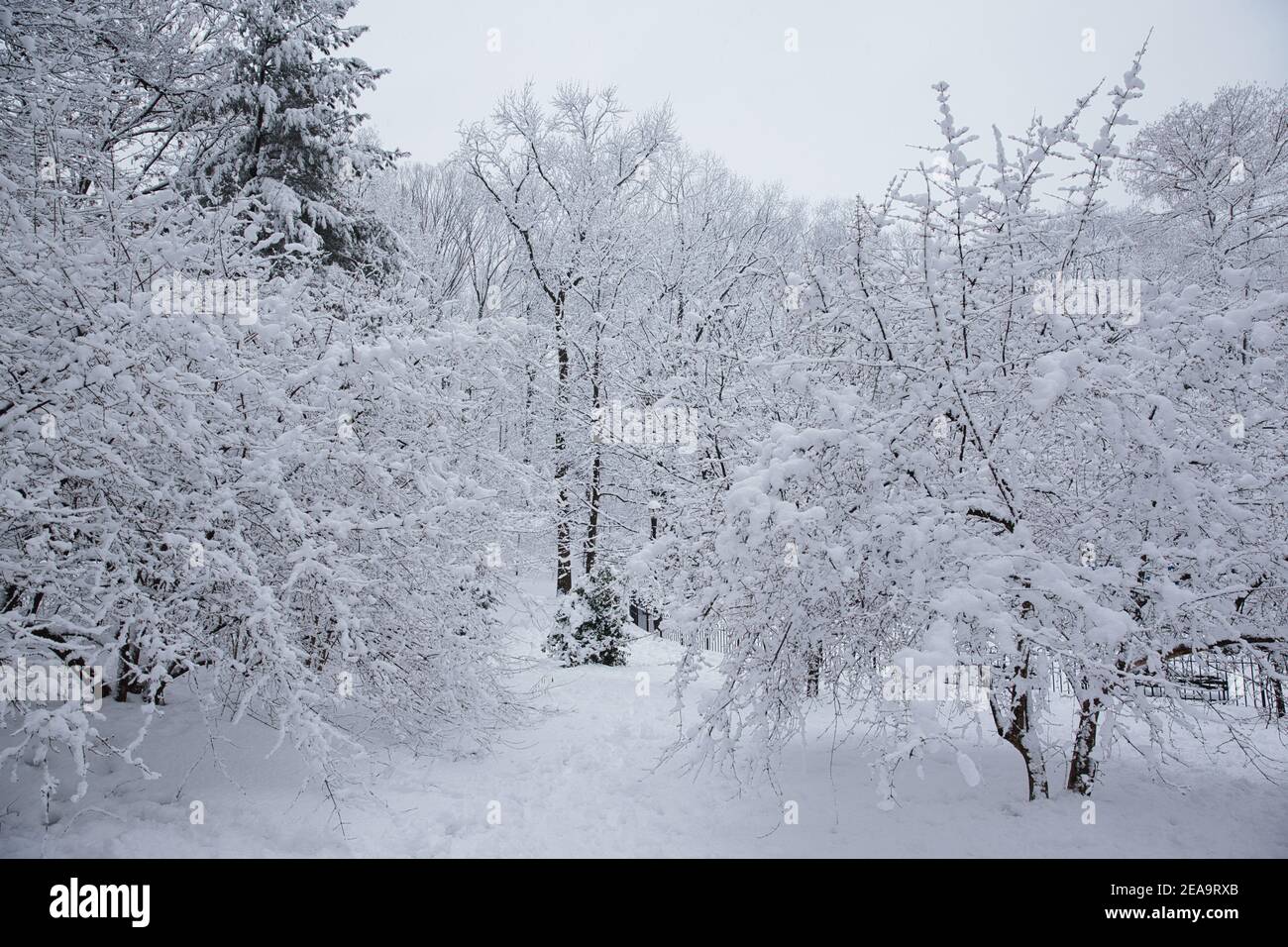 Beautiful brooklyn weather hi-res stock photography and images - Alamy