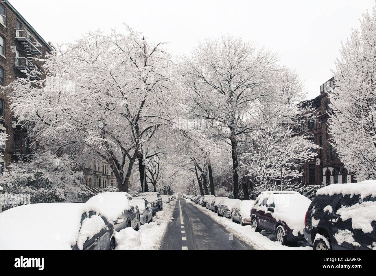 Winter scene with snow covered cars parked along streets in Brooklyn ...