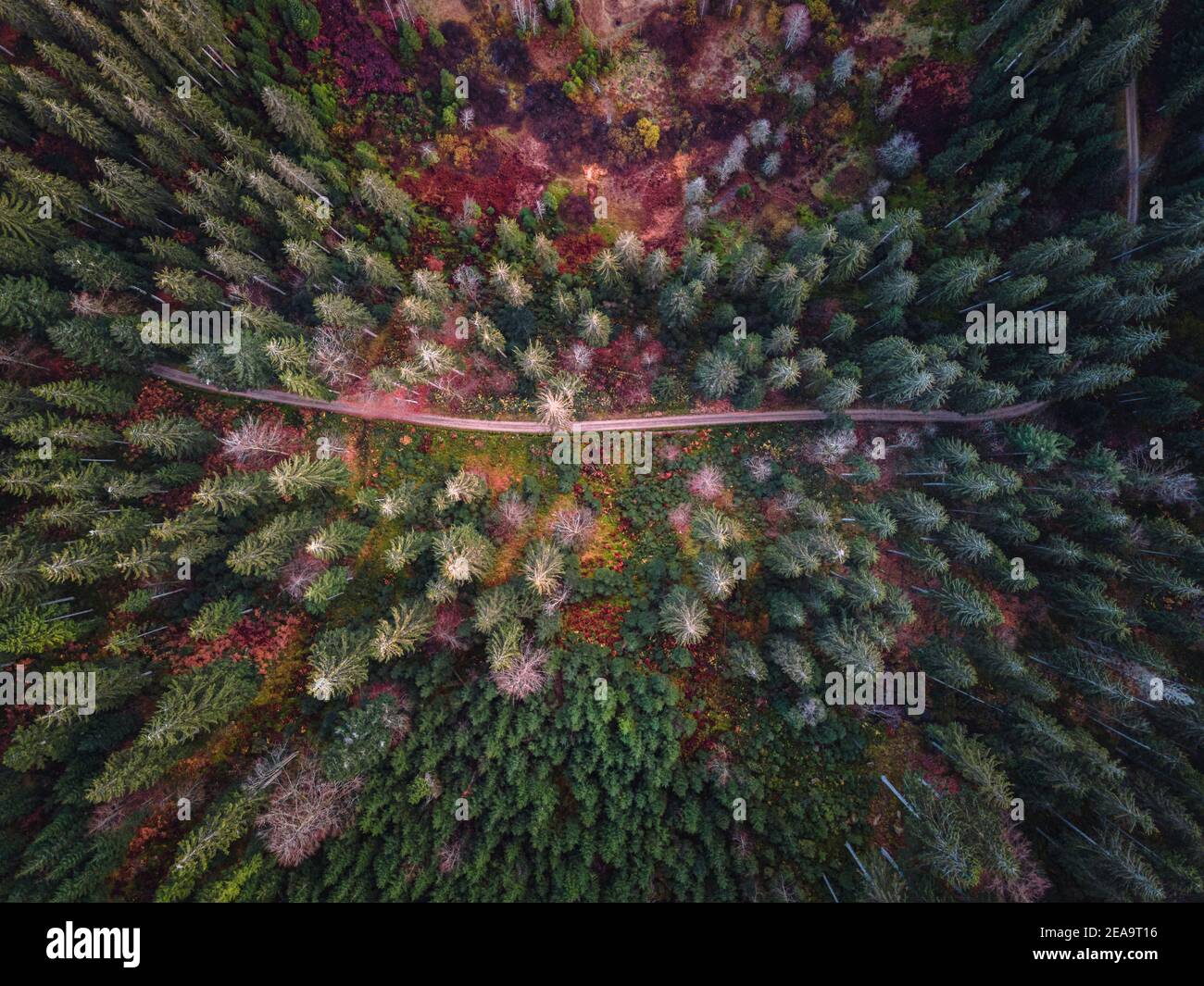 Path black hi-res stock photography and images - Alamy