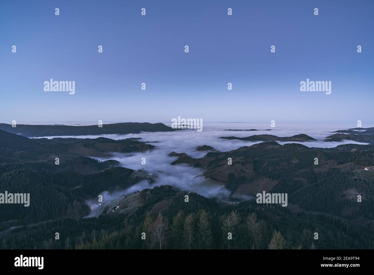 Sea of fog, blue hour, Black Forest, Baden-Wuerttemberg, Germany ...