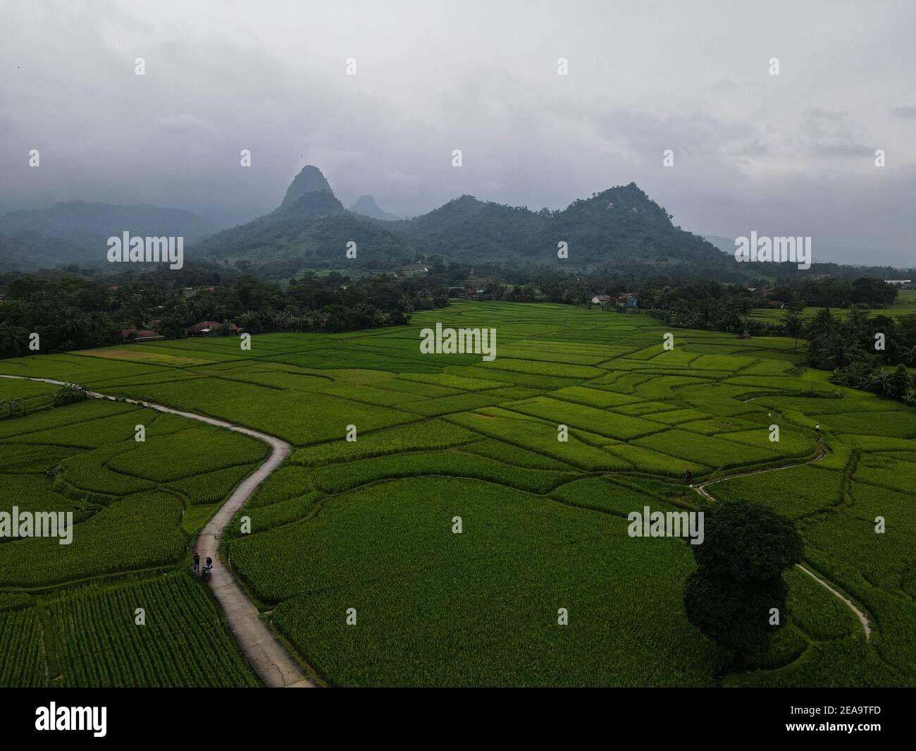 Aerial view of Rice fields on terraced of Cariu with noise cloud after ...