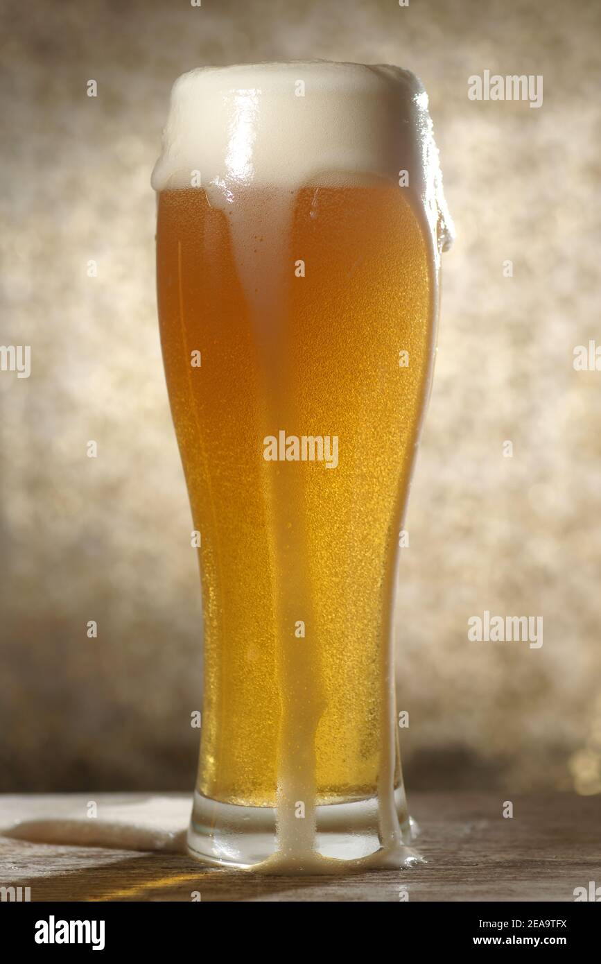 Beer.Pint of Beer close up isolated on abstract background. Cold Craft ...