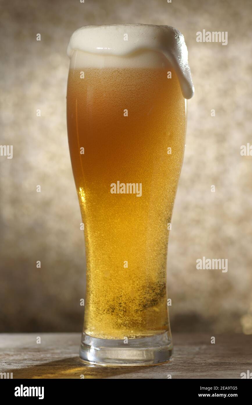 Beer.Pint of Beer close up isolated on abstract background. Cold Craft ...