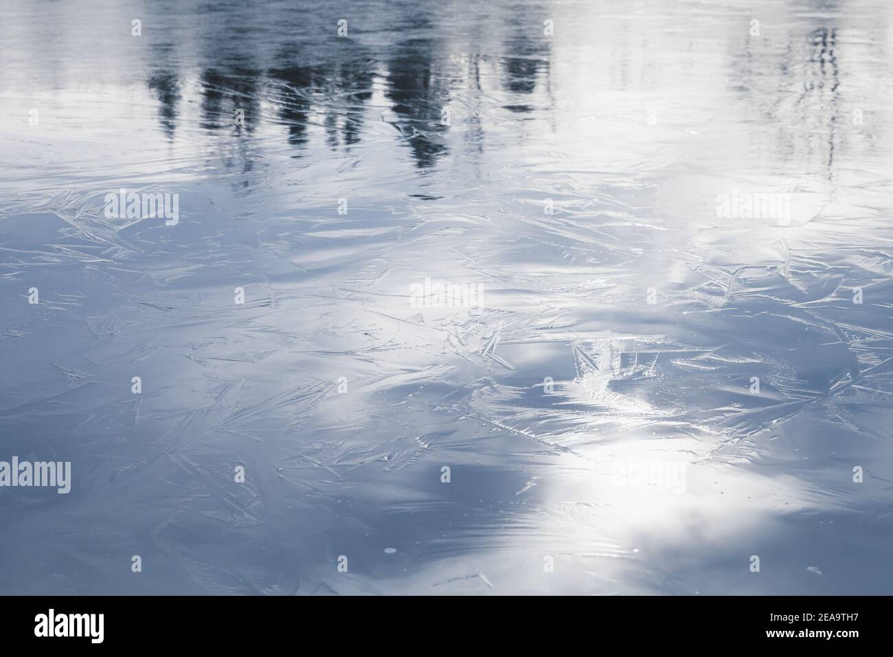 Frozen lake shiny, thin blue ice surface with trees reflections ...