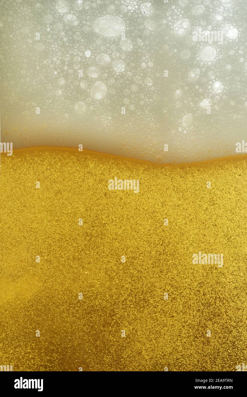 Beer. Light Beer with Bubbles and Foam Background Stock Photo - Alamy