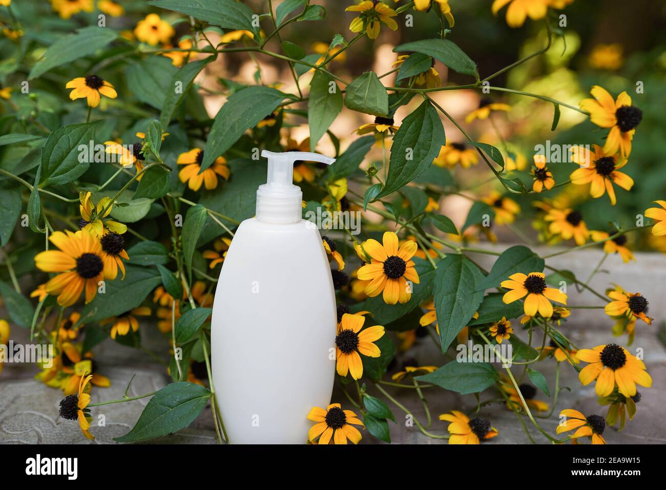 Body care product,shower and shampoo with flowers on nature background ...