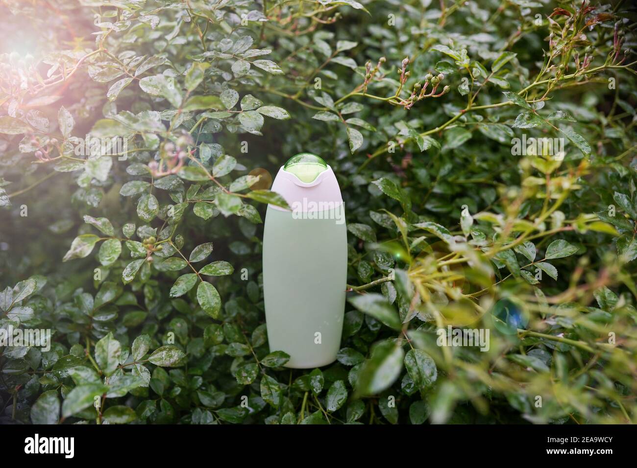 Shampoo bottle mock-up on green nature background with sunshine ...