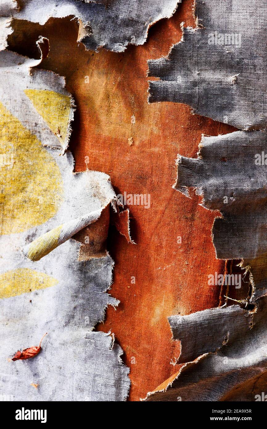 Torn tarpaulin hi-res stock photography and images - Alamy