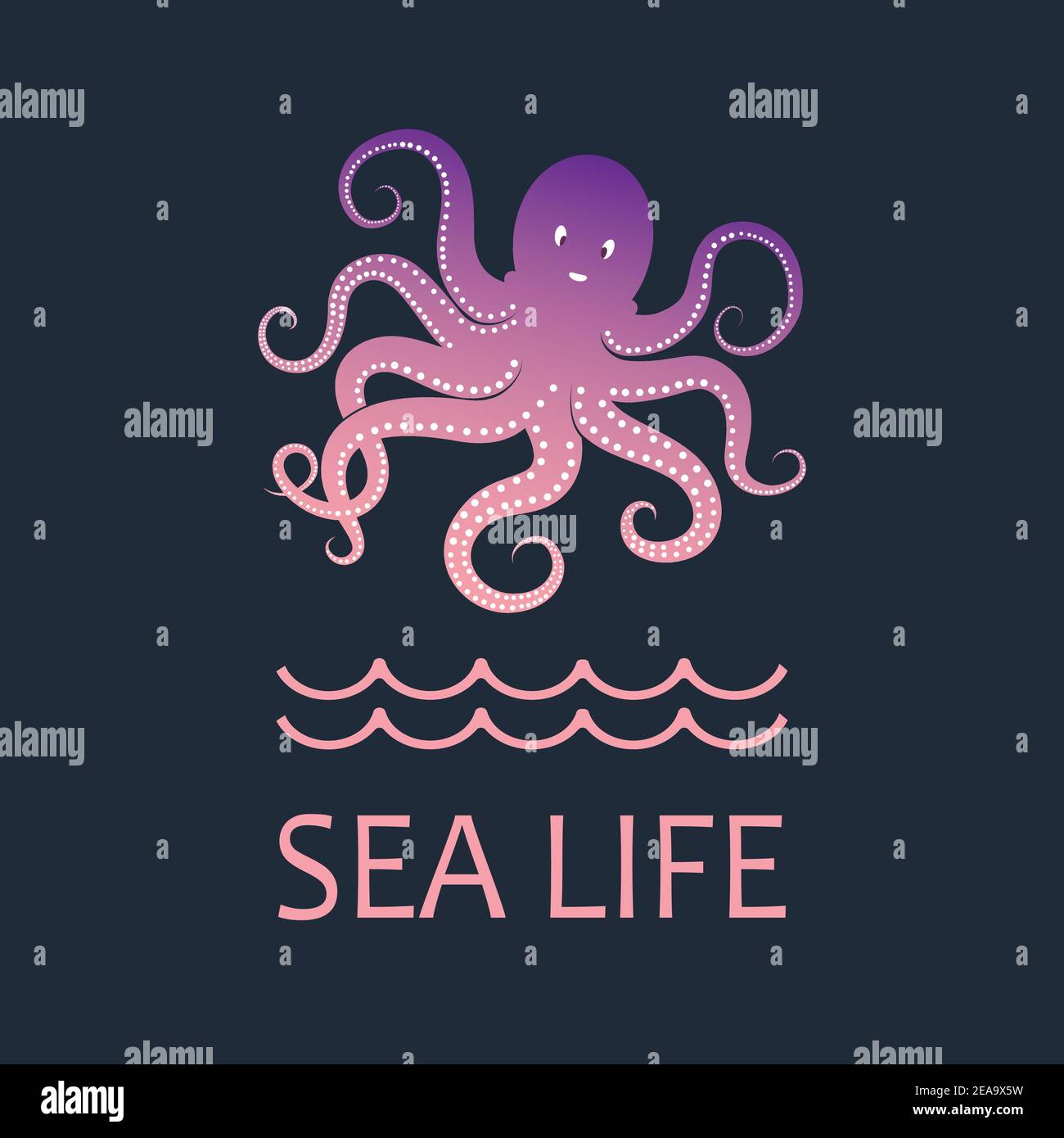 Mollusca vector vectors hi-res stock photography and images - Alamy