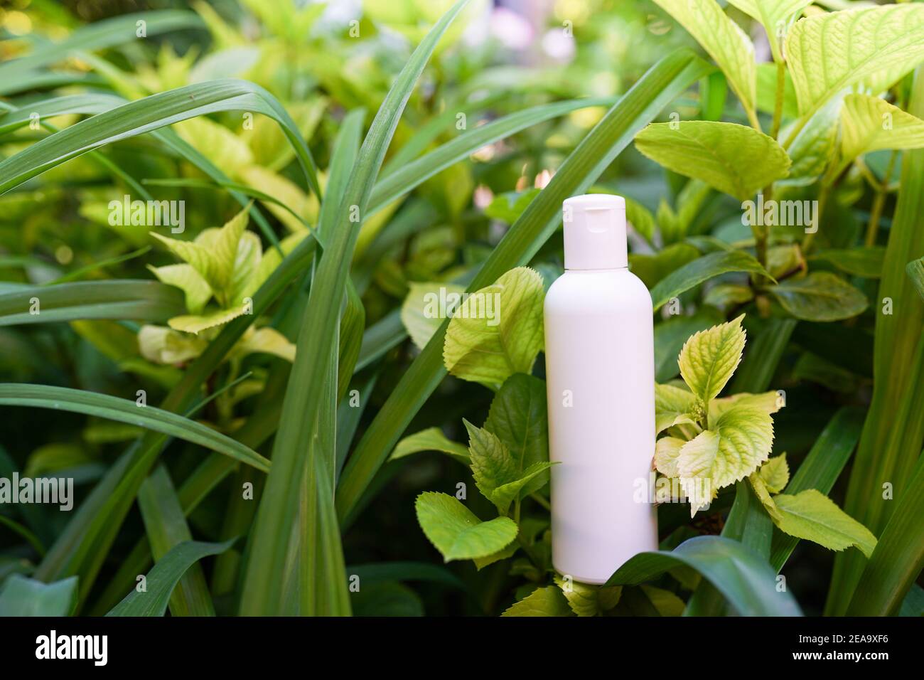 Spa Shampoo on Waterfall Background Stock Photo - Alamy
