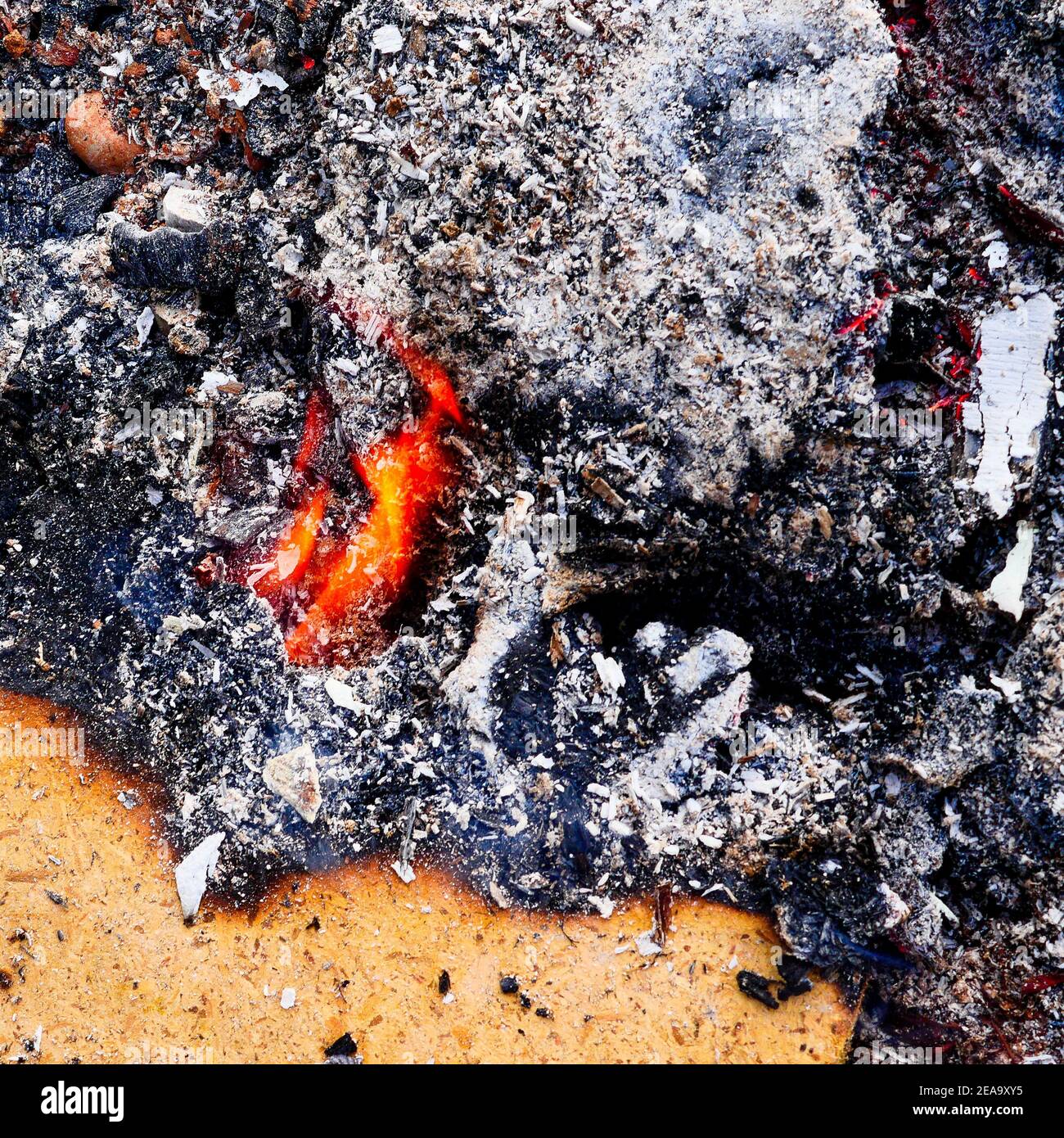 Burning wood, close-up view, France Stock Photo - Alamy