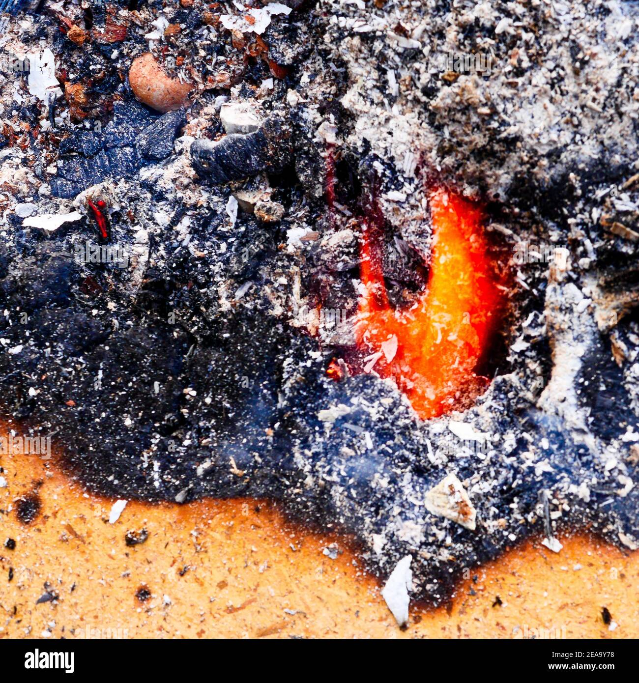 Burning wood, close-up view, France Stock Photo - Alamy