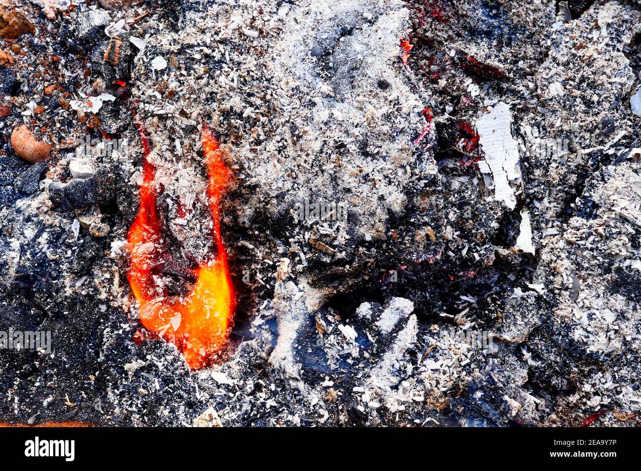 Burning wood, close-up view, France Stock Photo - Alamy