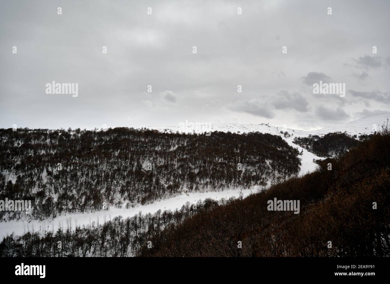 Landscape of hills covered in trees and snow under a cloudy sky on a gloomy day in winter Stock ...