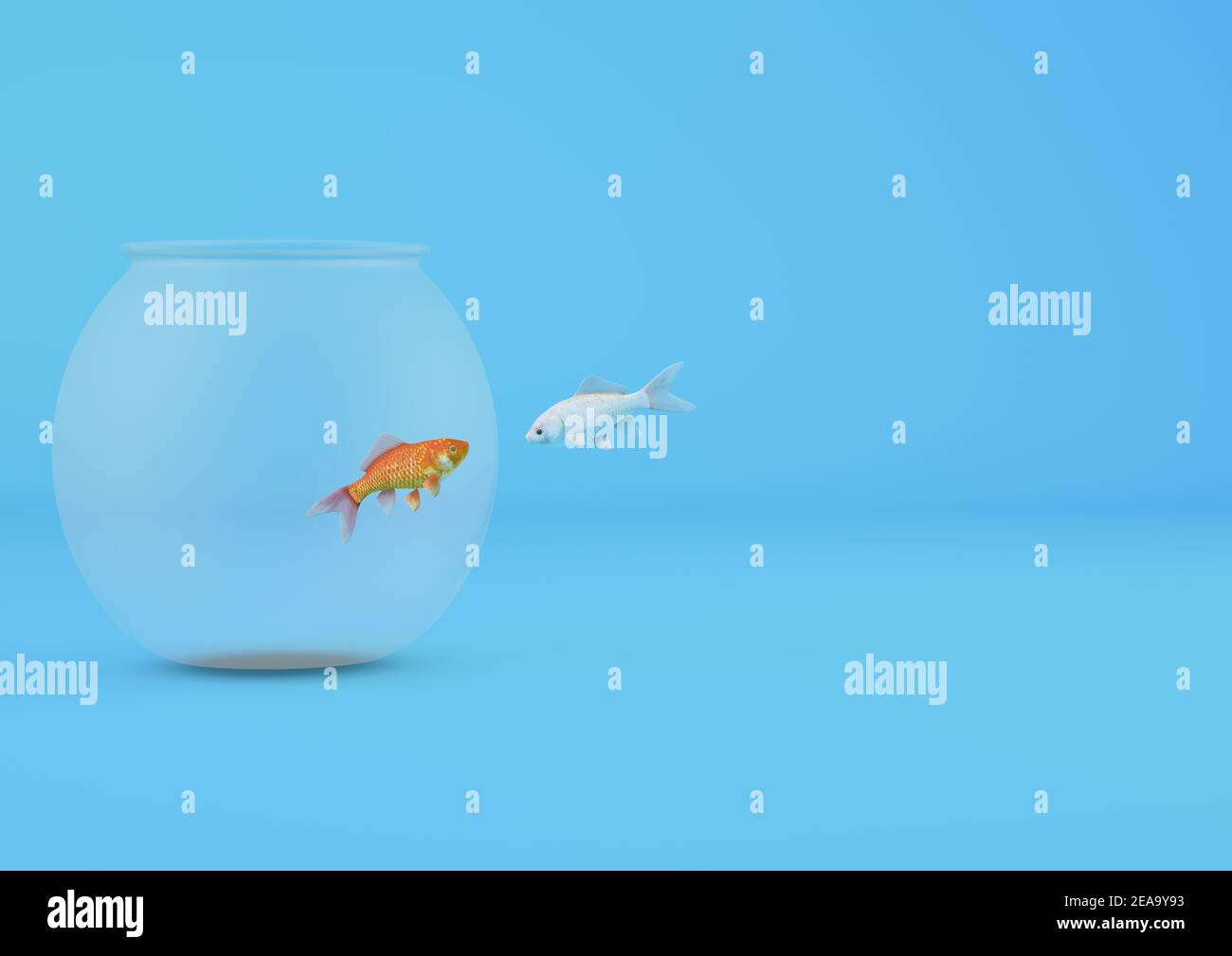 3D rendering of fish meeting a goldfish in a small aquarium isolated on ...