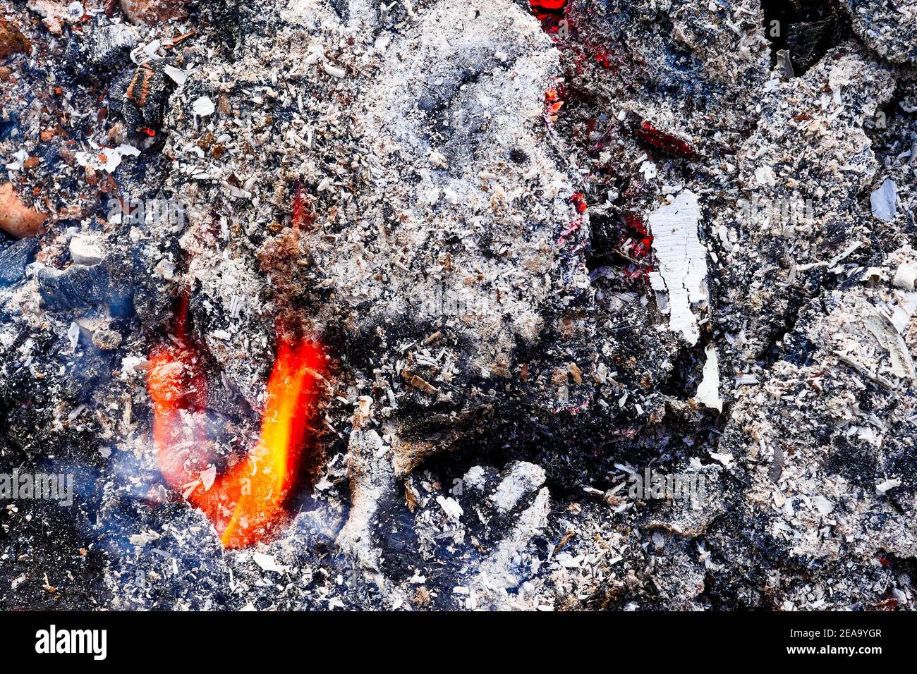 Burning wood, close-up view, France Stock Photo - Alamy