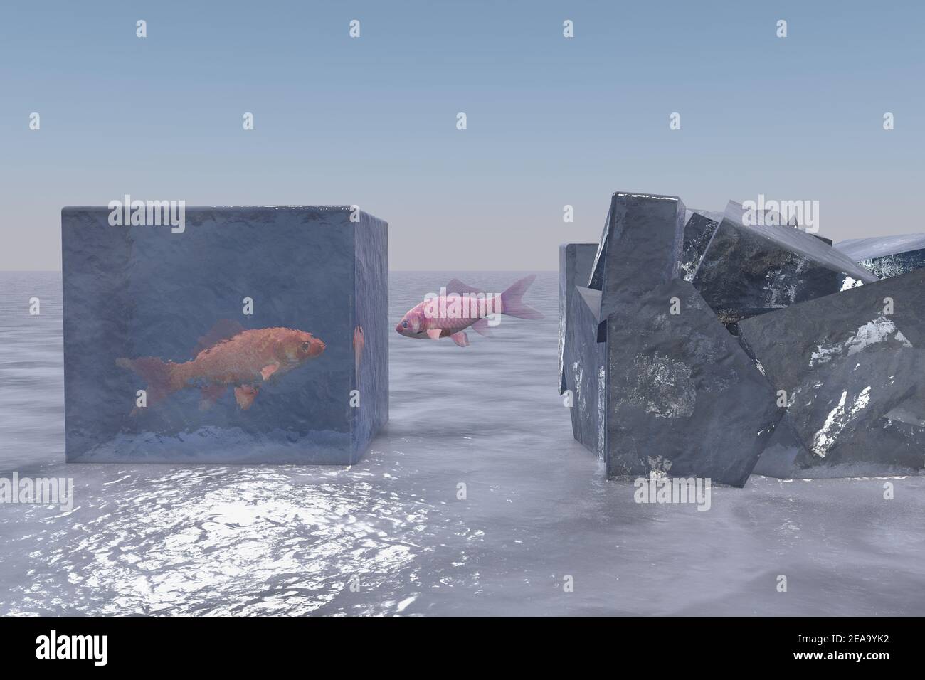 3D rendering of goldfish in ice cubes on water waves - perfect for ...