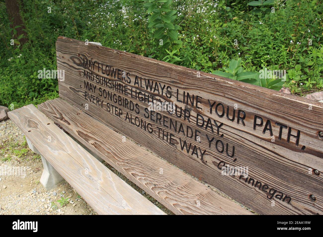 A wood park bench with an engraved quote from Cait Finniegan surrounded ...