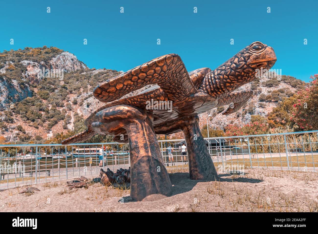 Famous monument to loggerhead Caretta sea turtle laying eggs in the ...