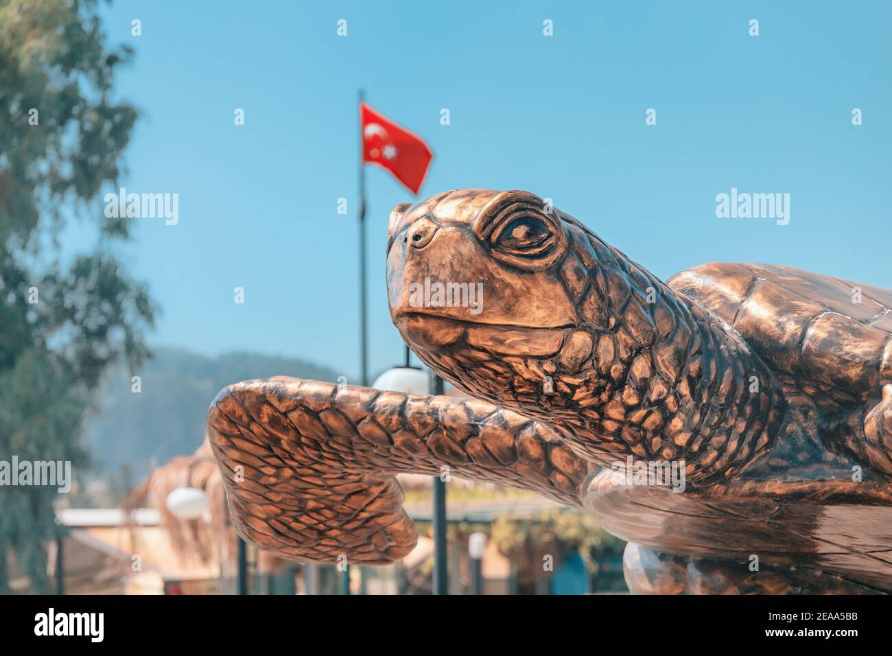 Famous monument to loggerhead Caretta sea turtle laying eggs in the ...