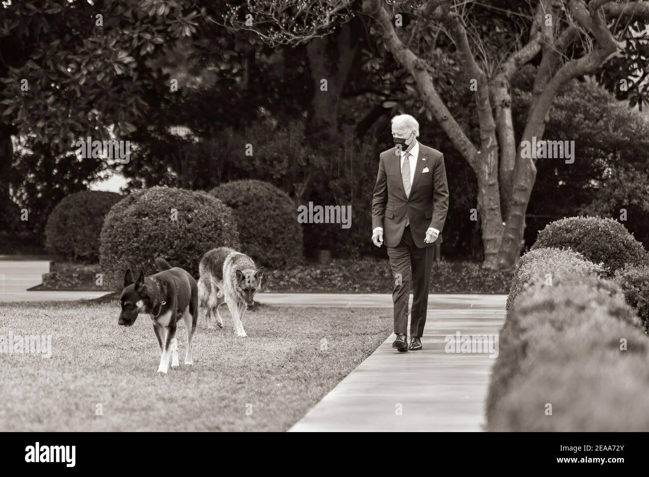 President Joe Biden walks with his dogs Major and Champ in the Rose ...