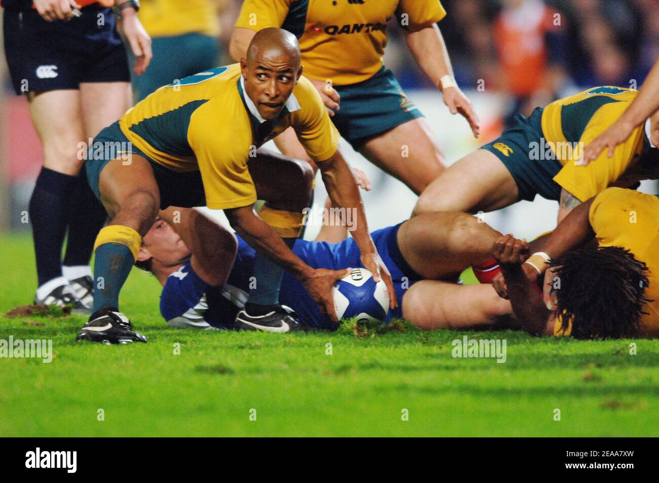 George gregan wallabies hi-res stock photography and images - Alamy