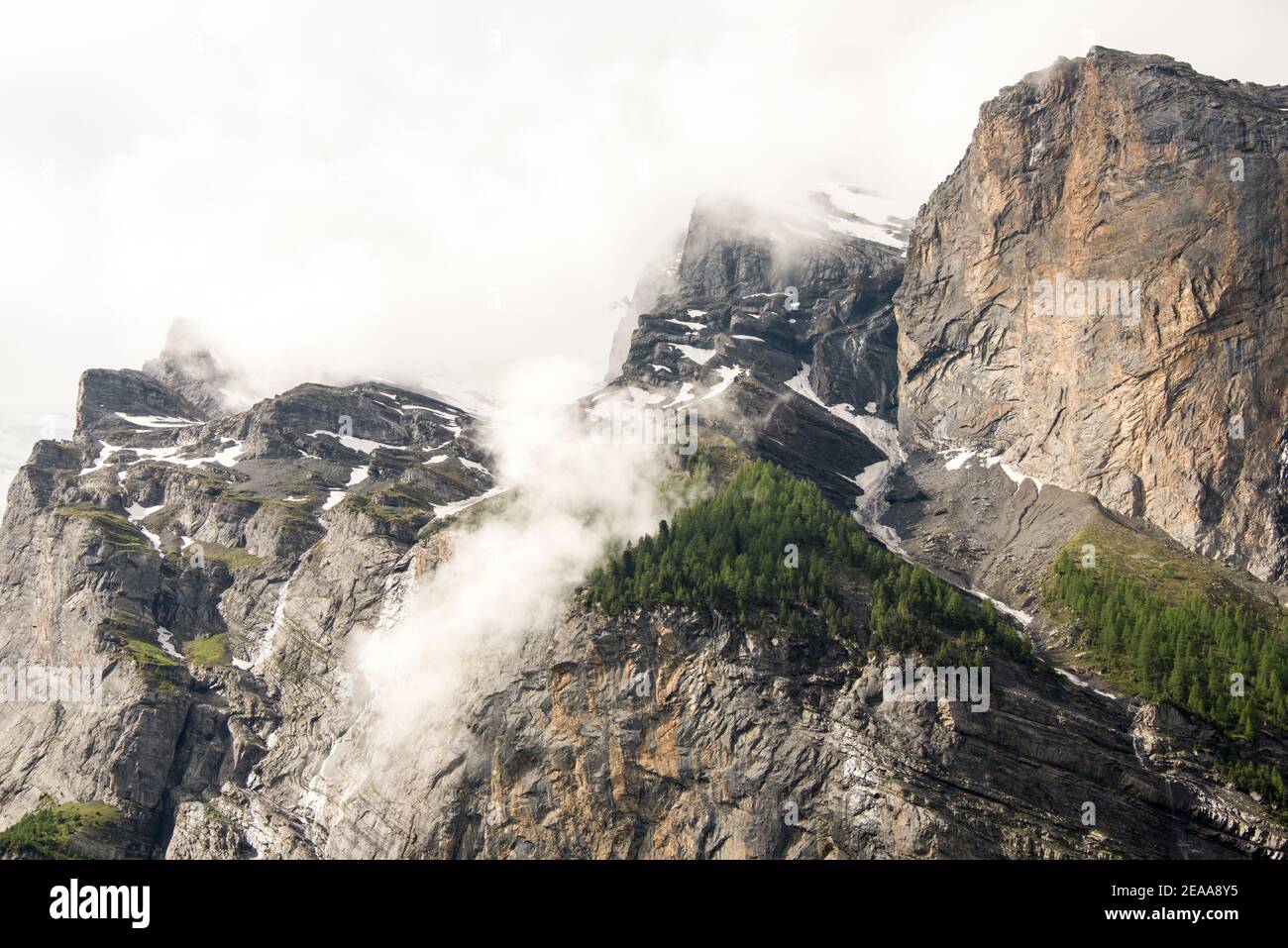 Fog covered forest mountain hi-res stock photography and images - Alamy