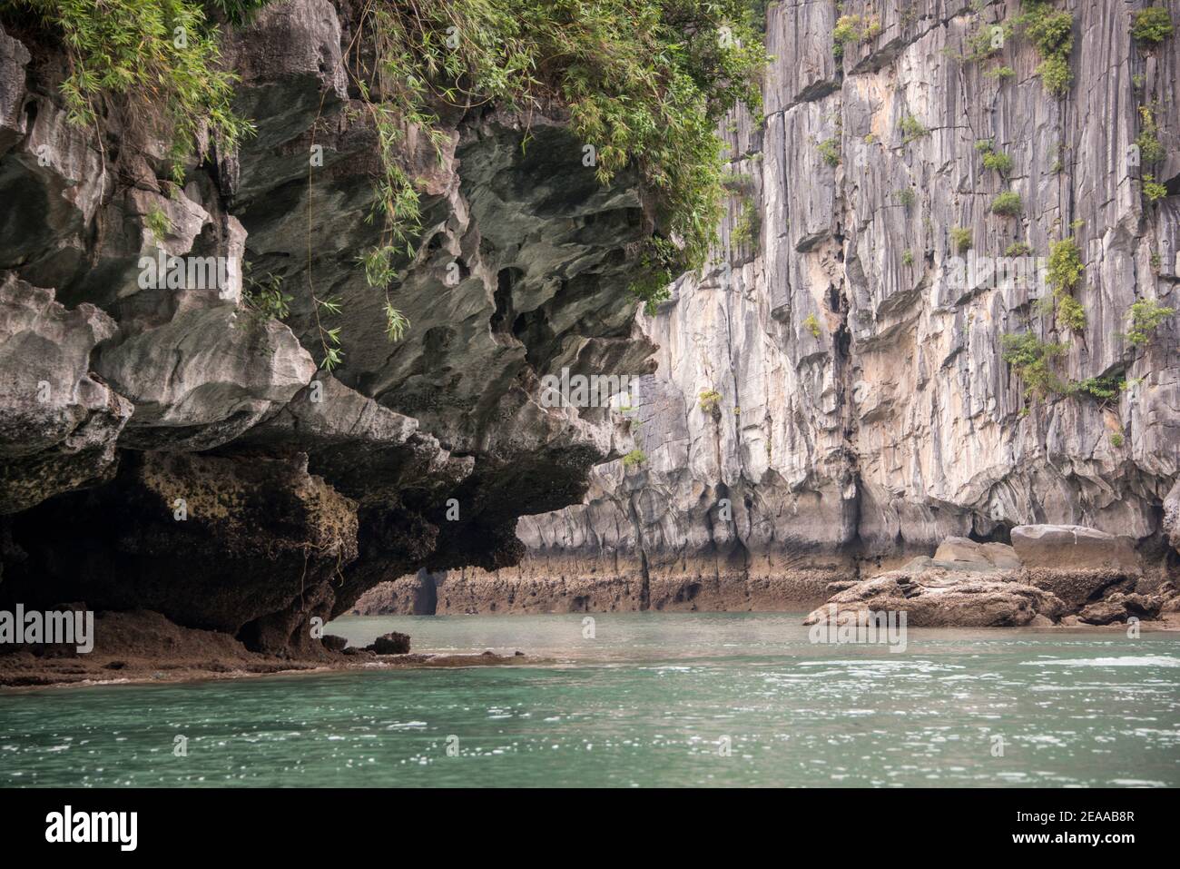 Overgrown rocks hi-res stock photography and images - Alamy