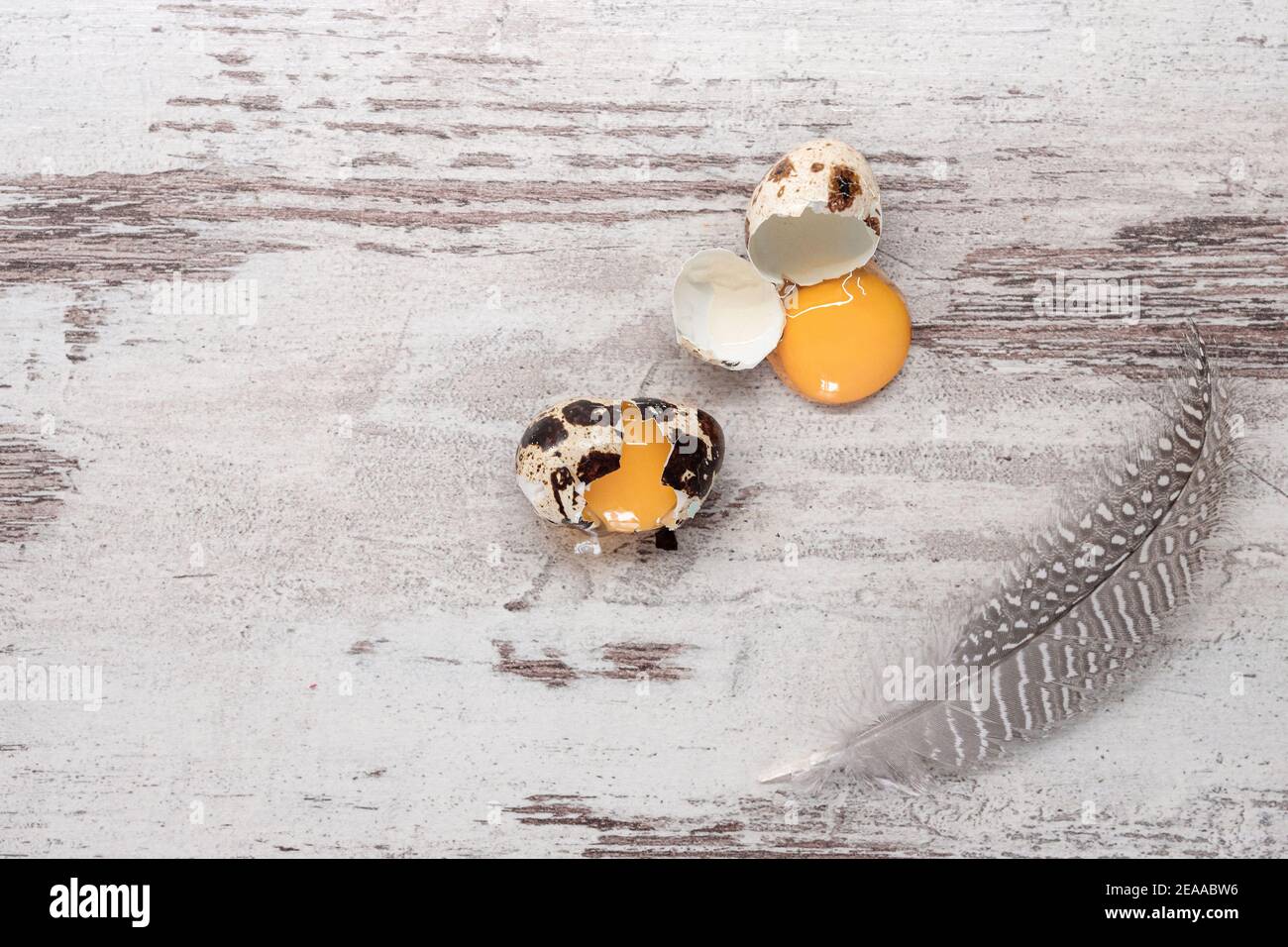Broken quail eggs and feather on wooden table. Copy space, top view ...