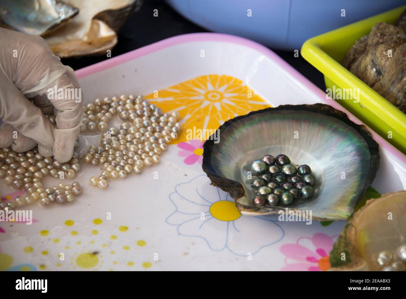 Cultured Pearls, Auslese, Vietnam Stock Photo - Alamy
