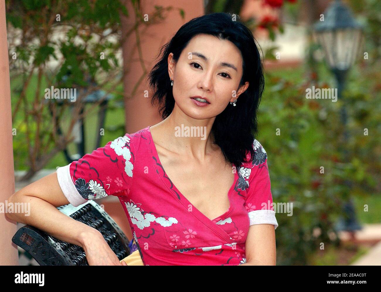 Maggie cheung actress hi-res stock photography and images - Alamy