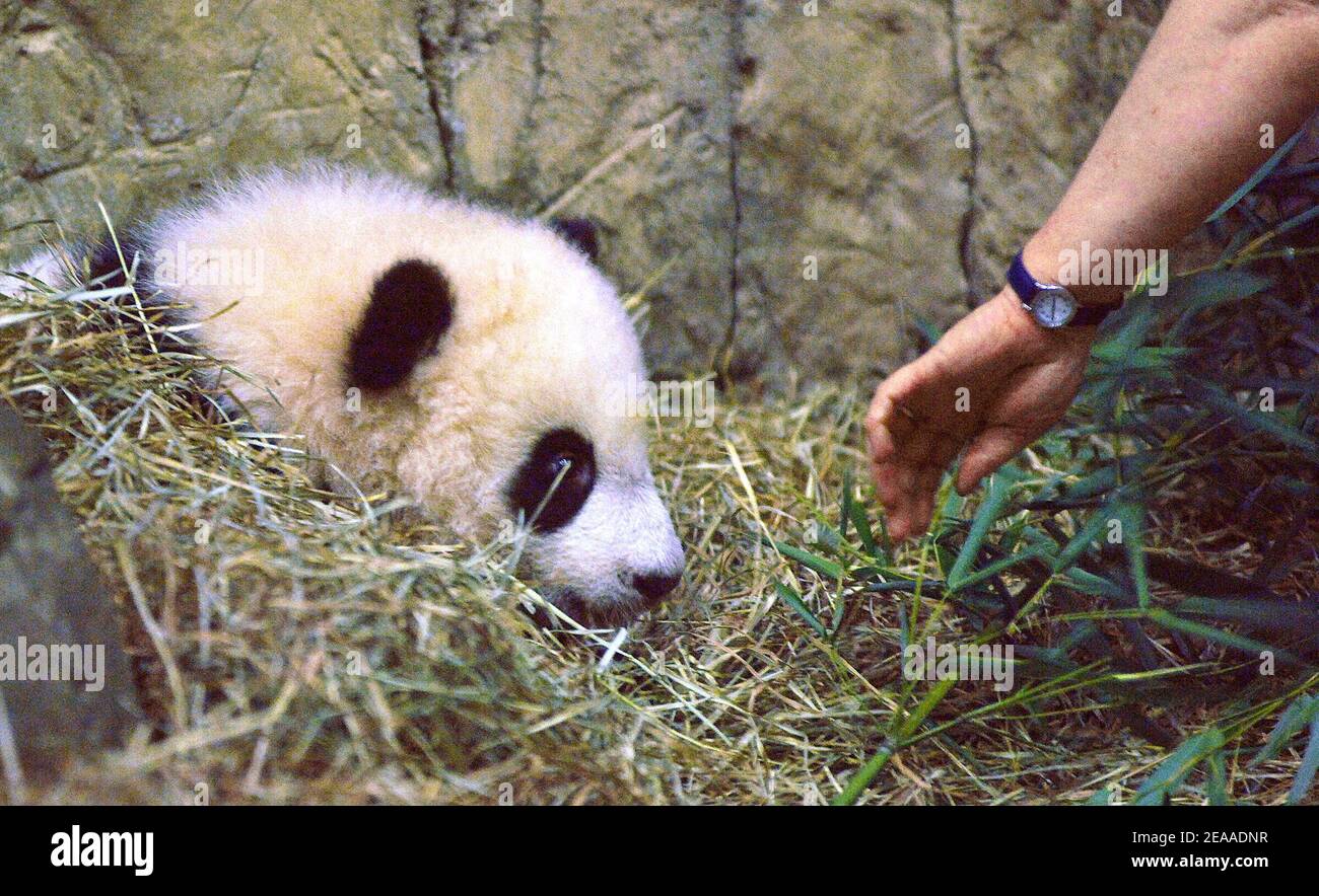 The Smithsonian's National Zoo hosts a media preview for the viewing of ...