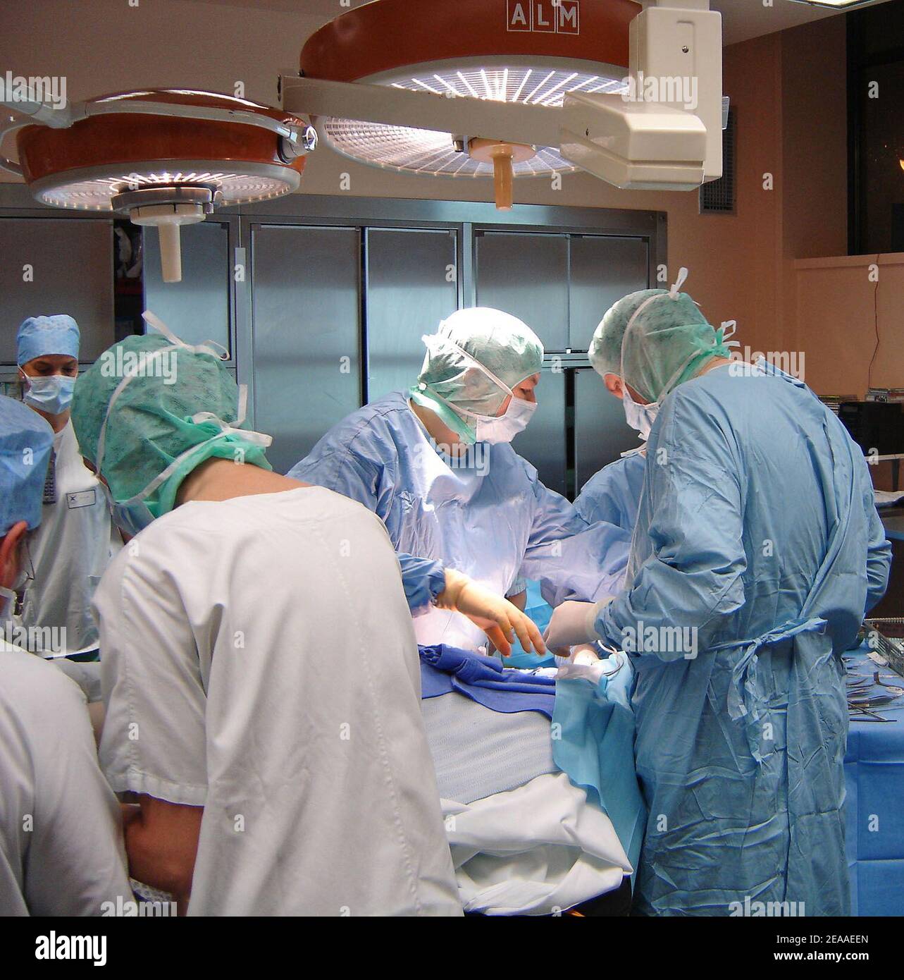 Image released by the Lyon Hospital, France on December 02, 2005, shows ...