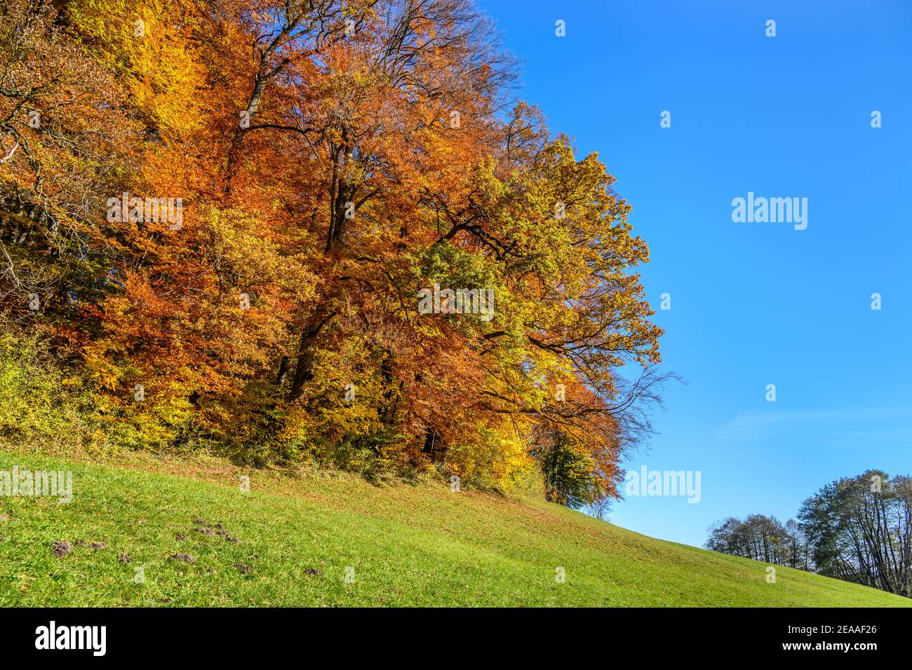 District haselbach hi-res stock photography and images - Alamy
